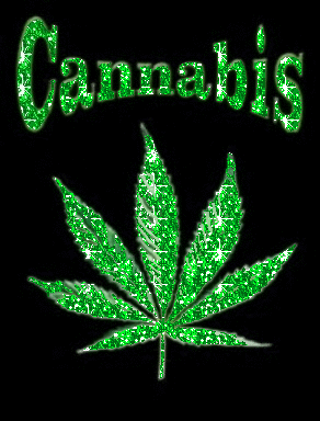 MARIJUANA ANIMATIONS by MANITOU57 | Photobucket
