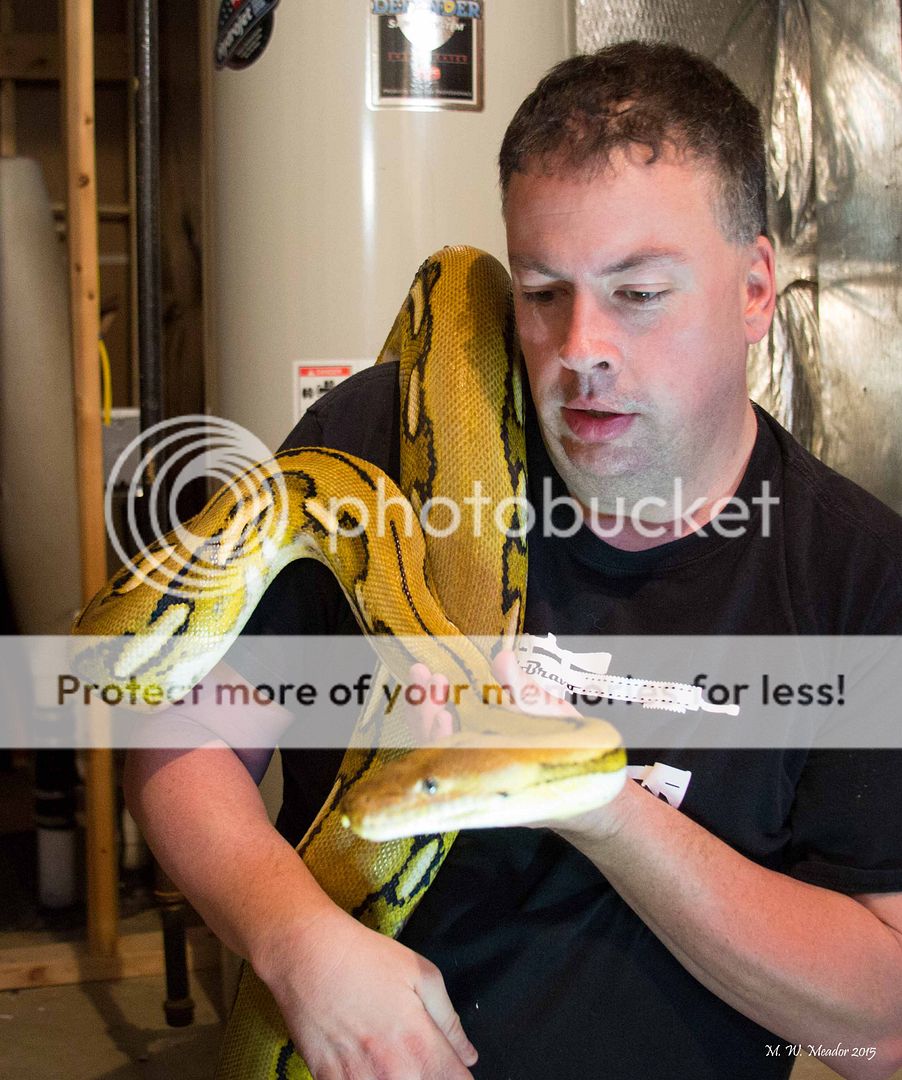 Eek... scary possum monster inside... - AR15.COM